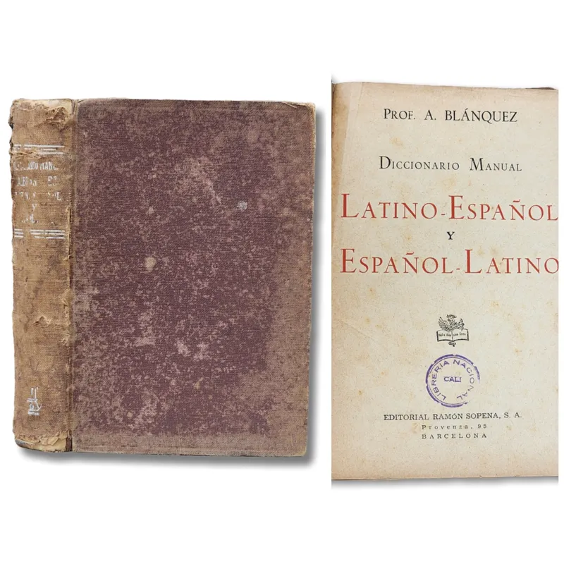 Diccionario esencial Santillana de la Lengua Española - Incunabula