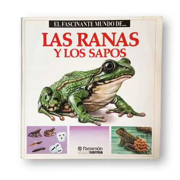 Correo Del Libro De La Rana Y El Sapo